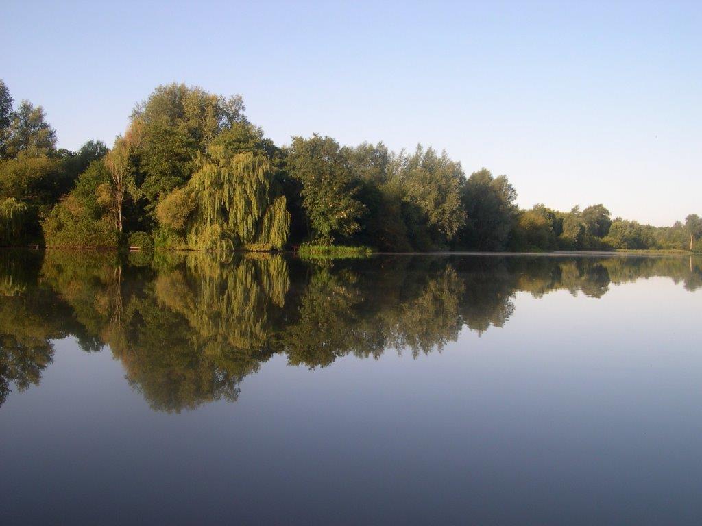 UEA Broad – University of East Anglia Staff Association Angling Club